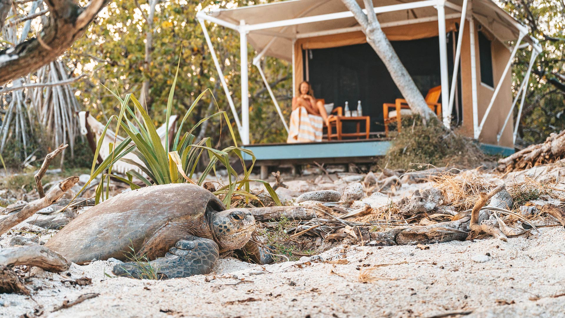 Tourism and Travel Advertising Opportunities | Queensland.com