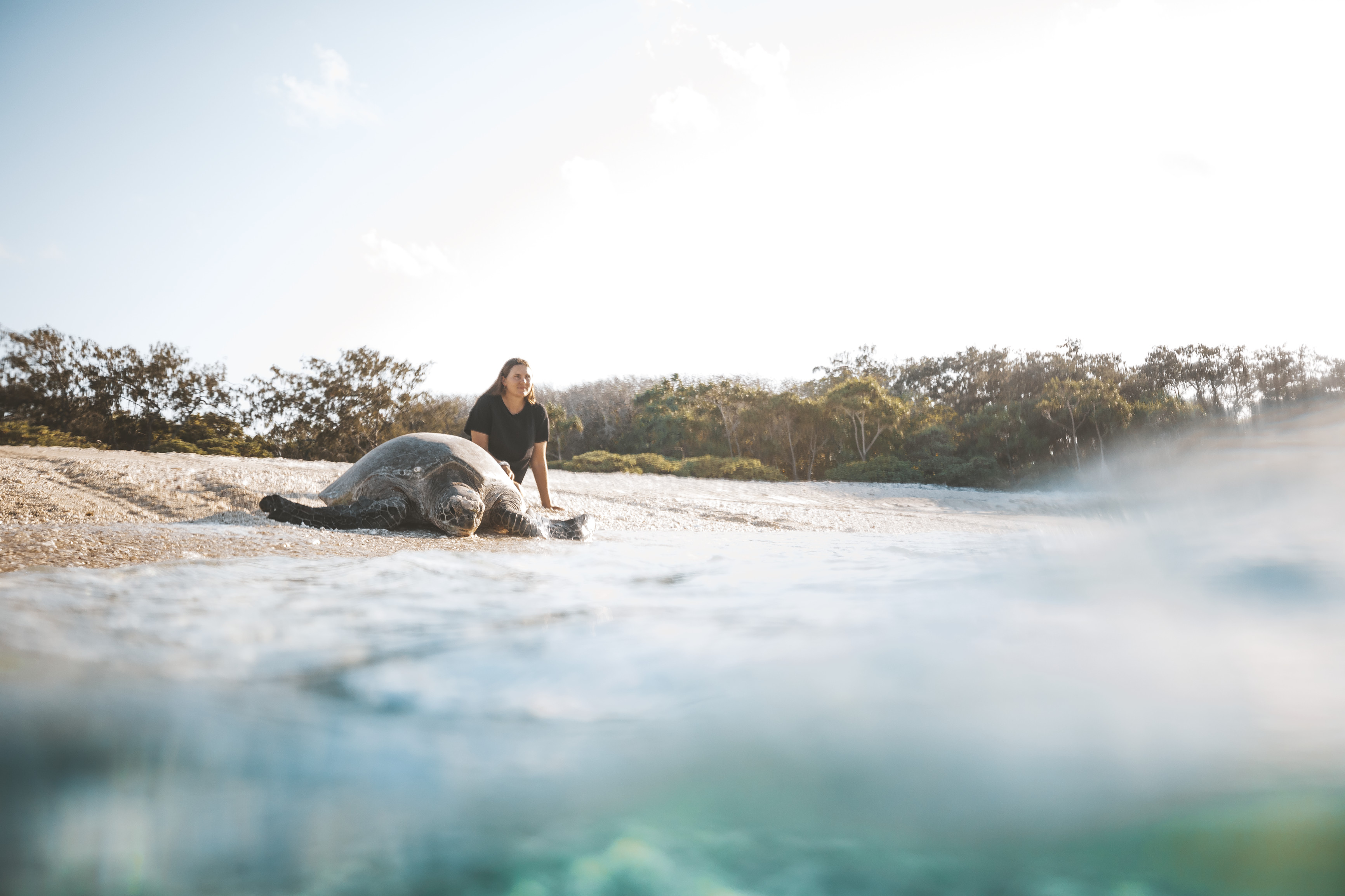 Why Visit Wilson Island on the Southern Great Barrier Reef | Queensland
