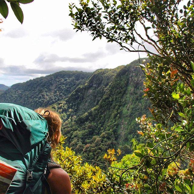 The Best Gold Coast Hinterland Hiking Trails To Explore | Queensland