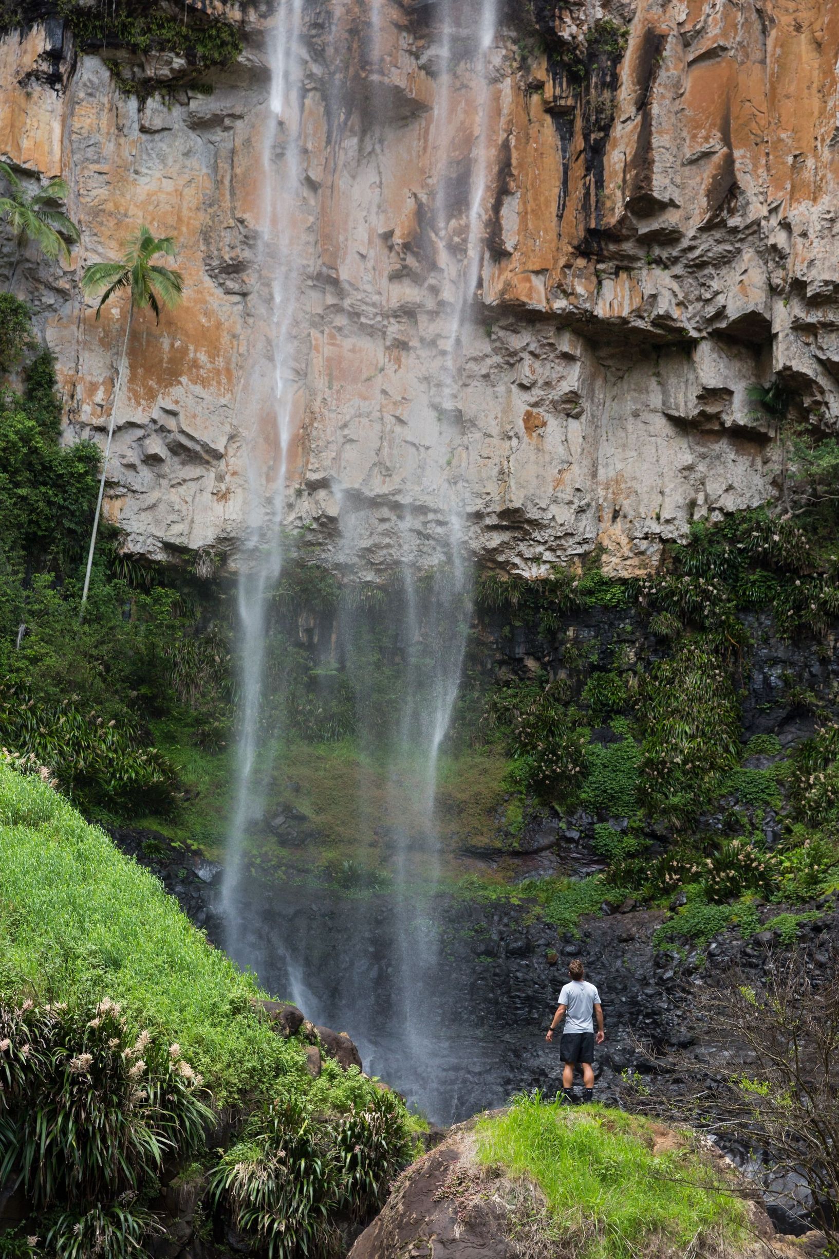 Purling Brook Falls Circuit | Queensland.com