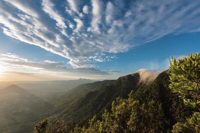The Best Gold Coast Hinterland Hiking Trails To Explore | Queensland