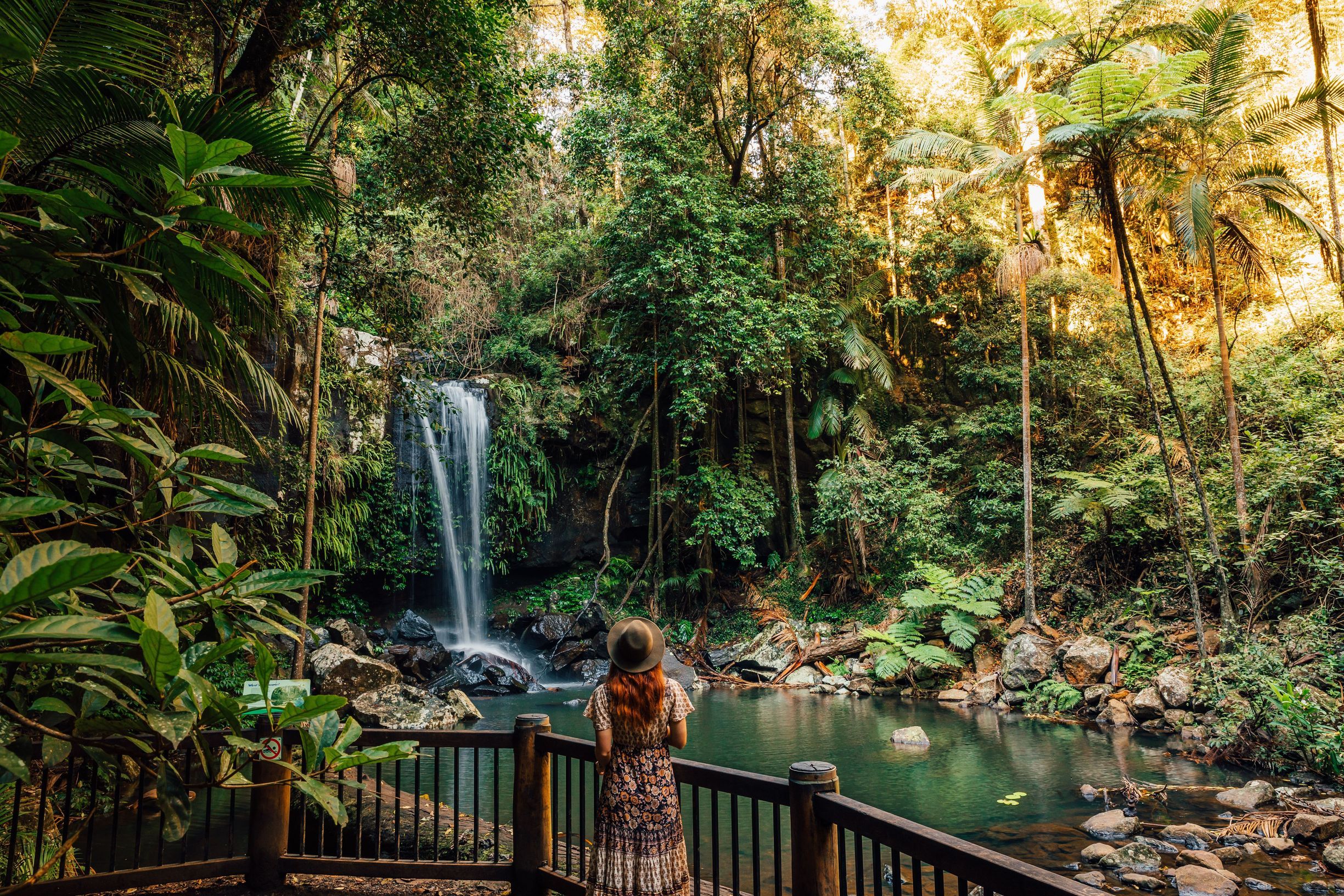 Here's How to Find the Best Swimming Holes and Waterfalls Near Brisbane ...