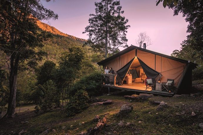 Traverse Ancient Terrain In QLD’s Gondwana Rainforest | Queensland