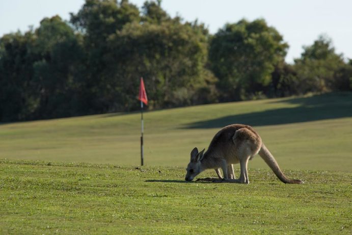 The 9 Best Queensland Public Golf Courses | Queensland