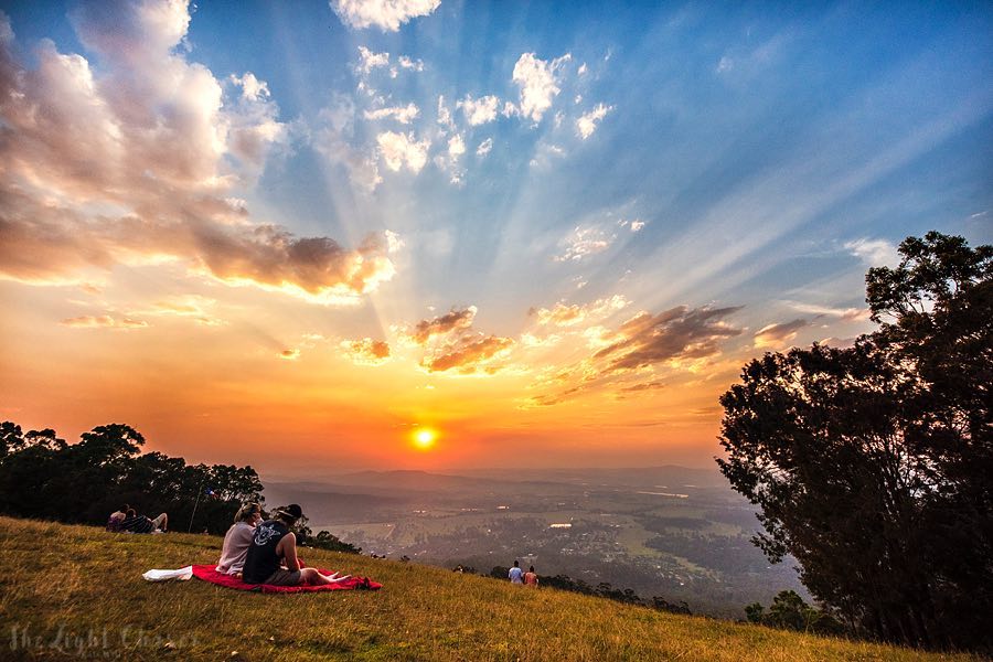 Tamborine Mountain - Top Things To Do | Queensland