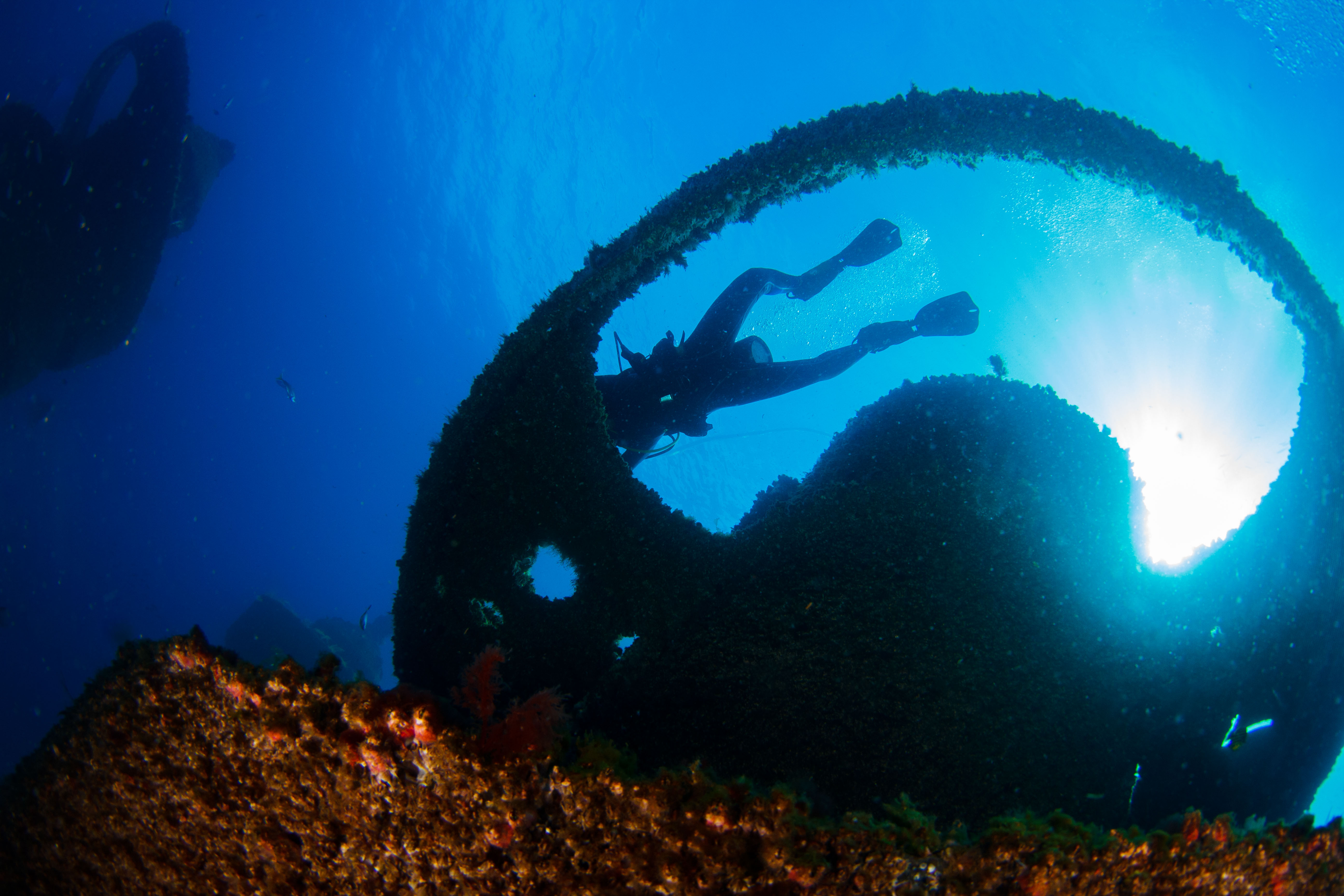 Wonder Reef on the Gold Coast | Queensland