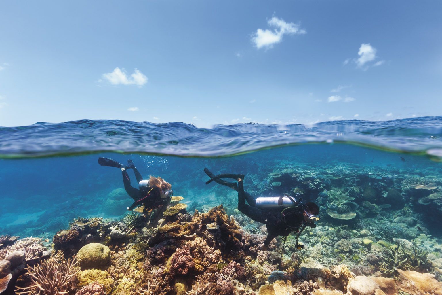 Queensland's Best Dive Sites - Diving and Snorkelling | Queensland