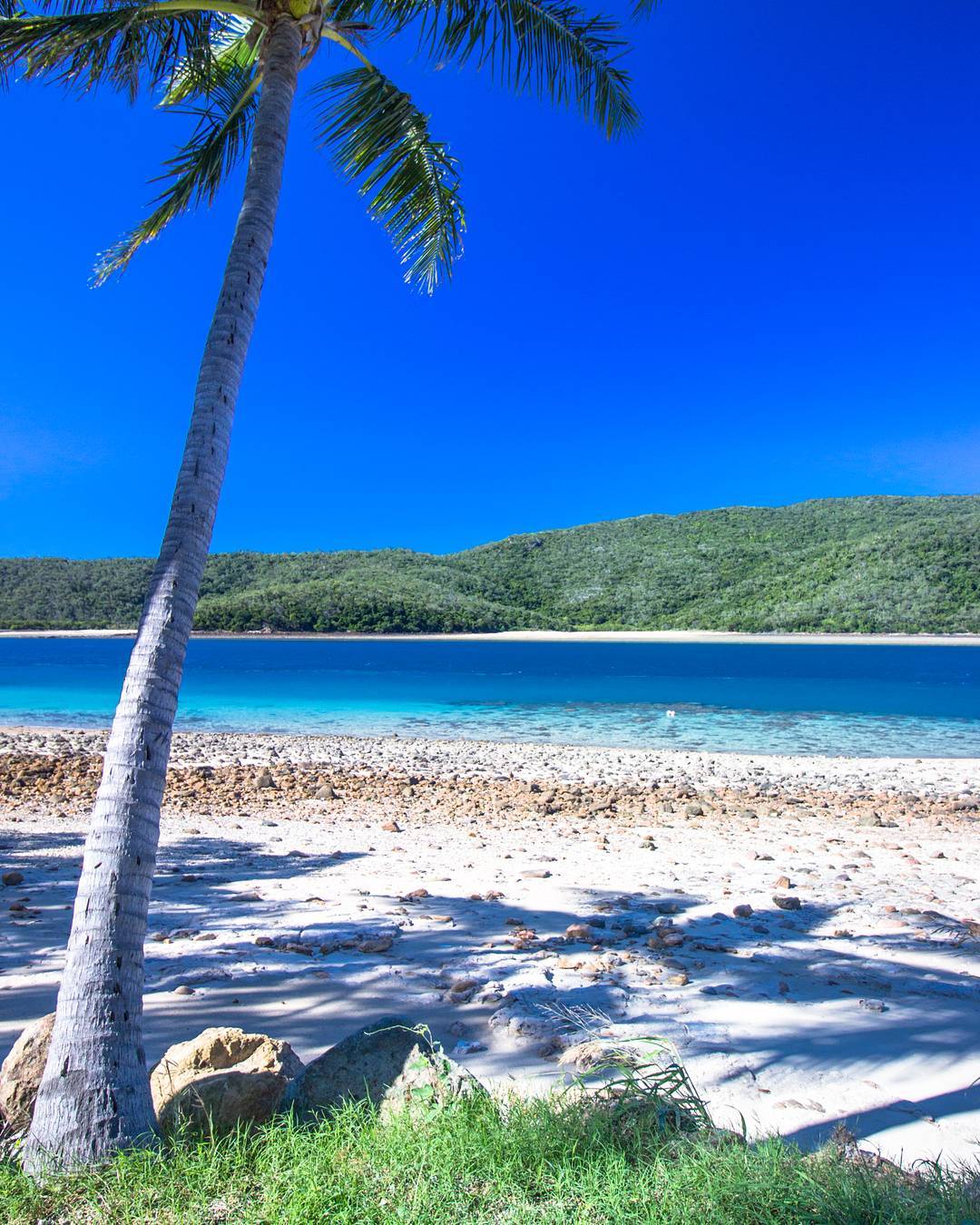 Keswick Island Queensland Australia Swap The City Rush For Sand