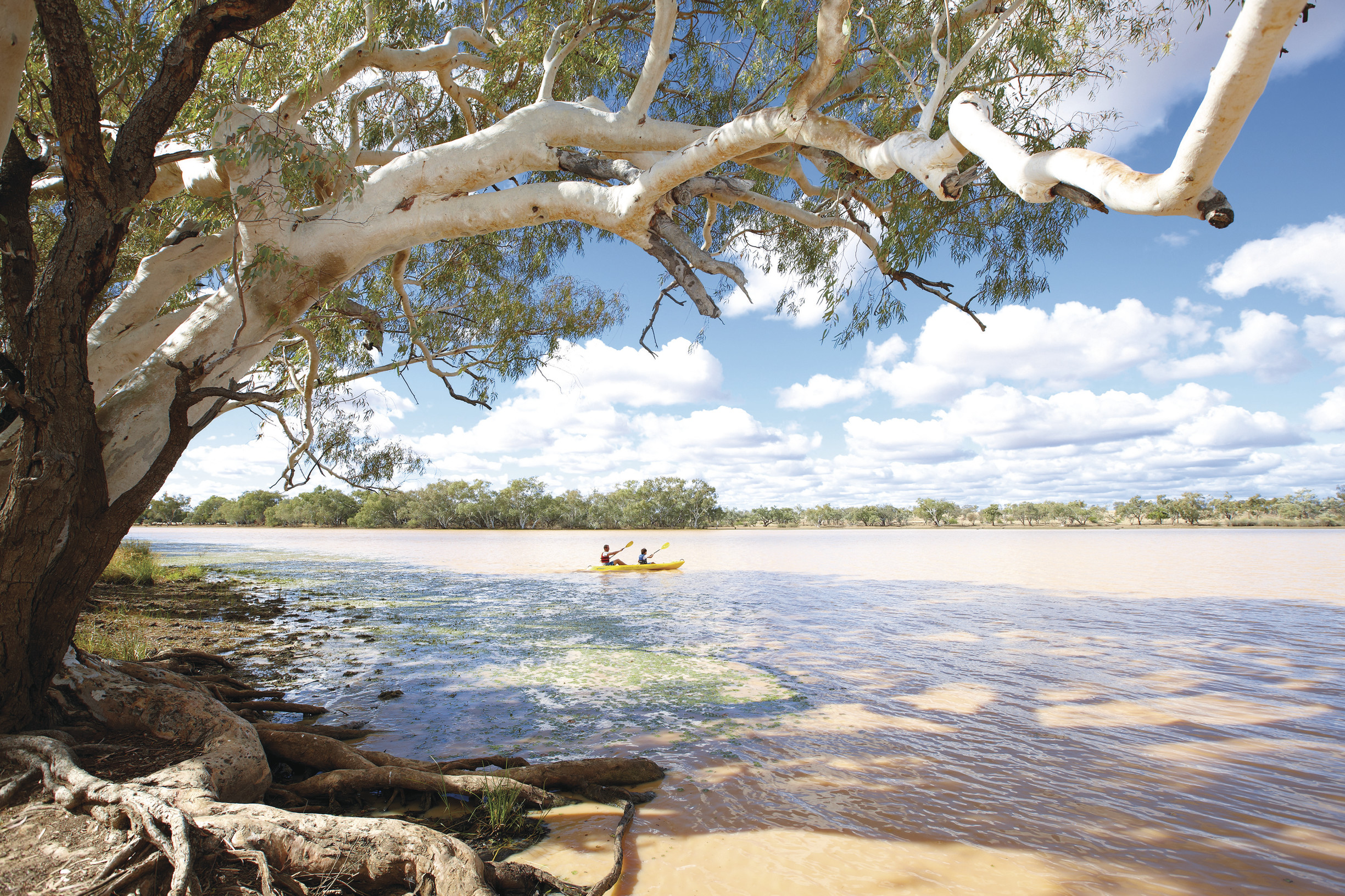 Get a Taste of the Outback With This Guide to Quilpie | Queensland