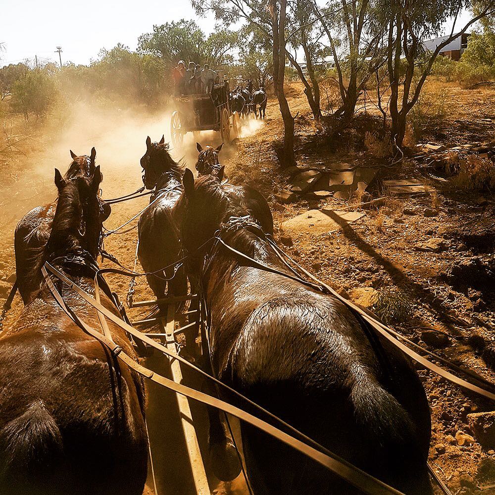 7 day itinerary for the ultimate outback adventure in Longreach ...