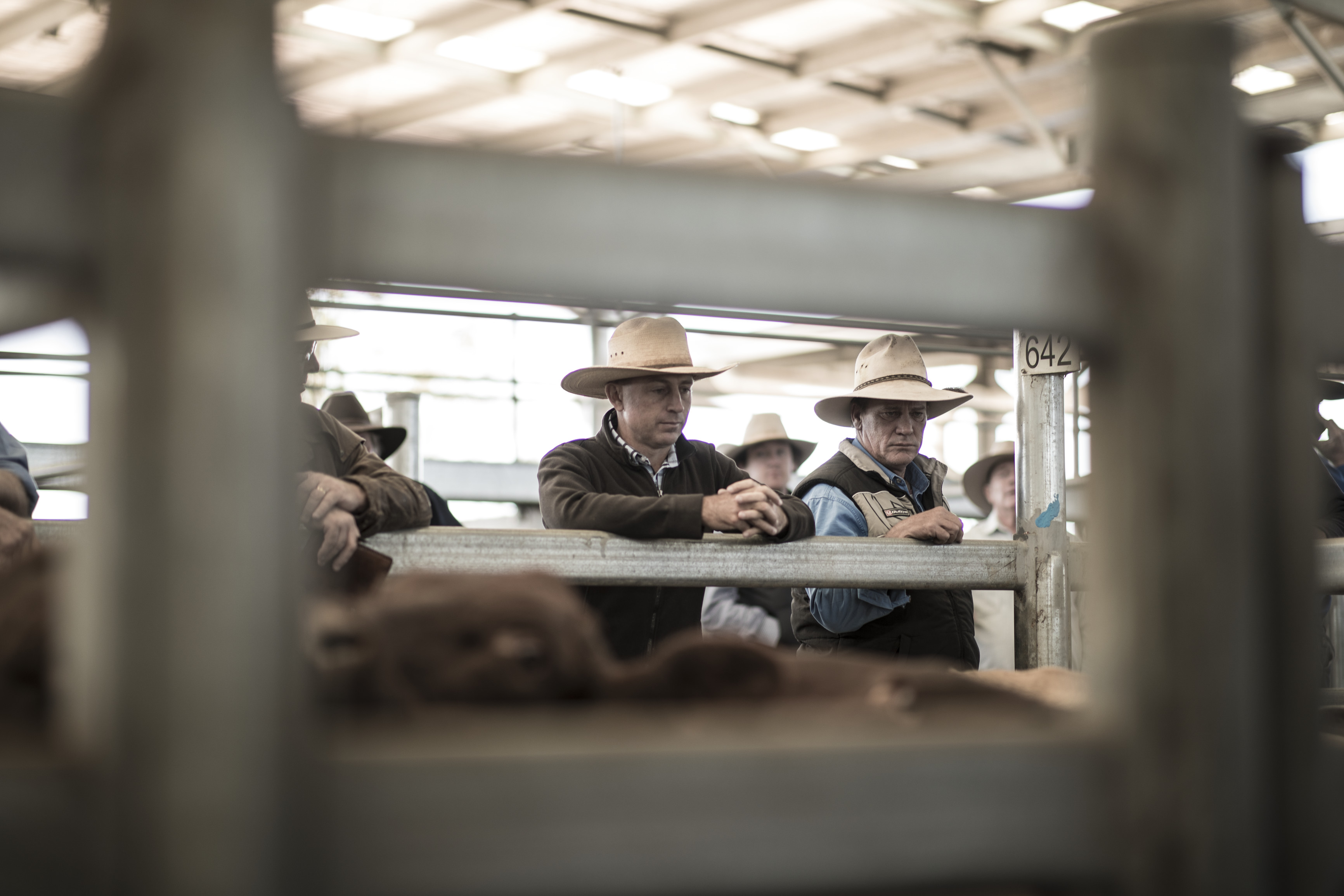 Driving the Adventure Way - Outback Australia | Queensland