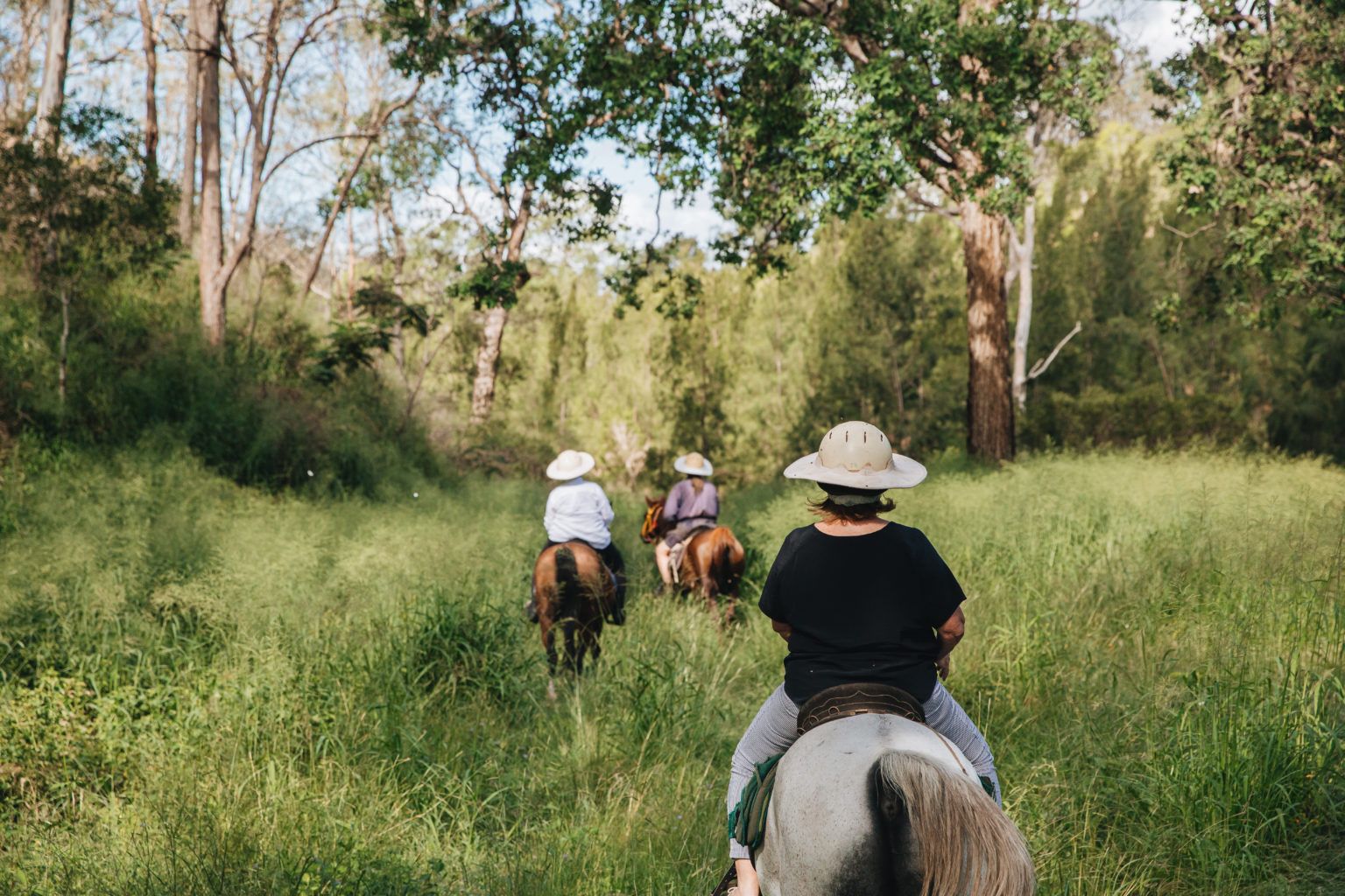 Your Guide to Queensland Country Music Festivals | Queensland