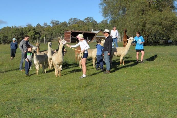 Best Queensland Farm Stays and Farm Cottages | Queensland