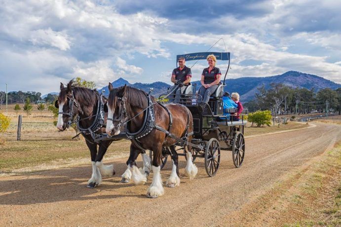 6 Authentic Rural Farm Experiences Near Brisbane | Queensland