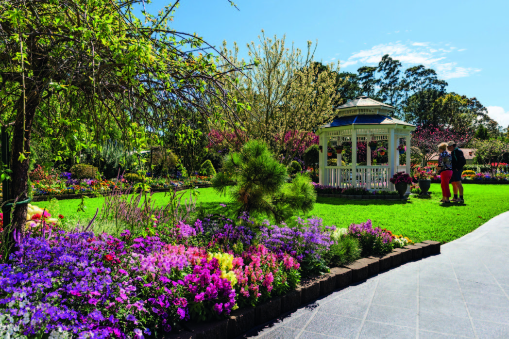 Things to Do In Toowoomba In a Weekend - 48 Hours | Queensland