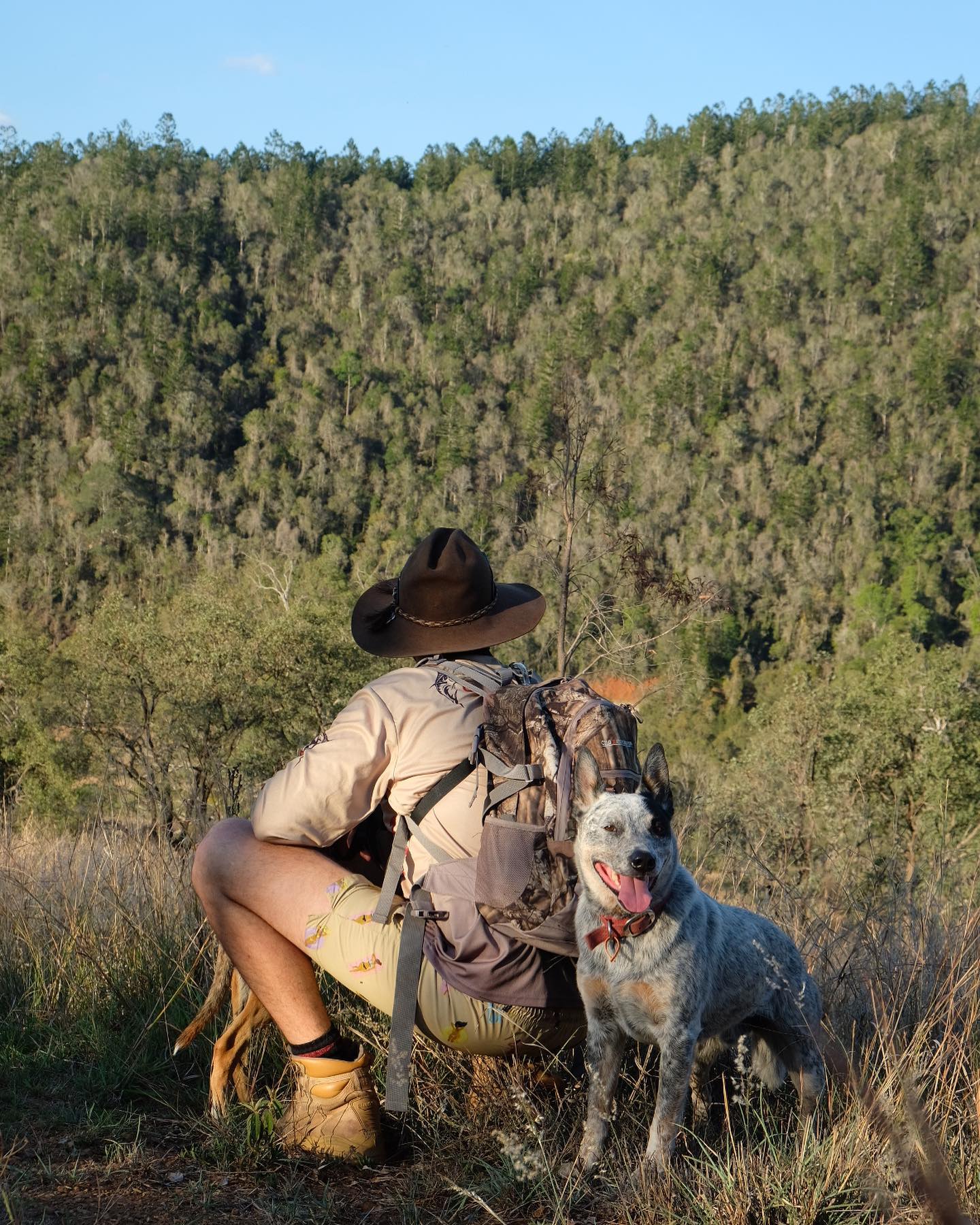 Pet-friendly guide to Queensland Country | Queensland