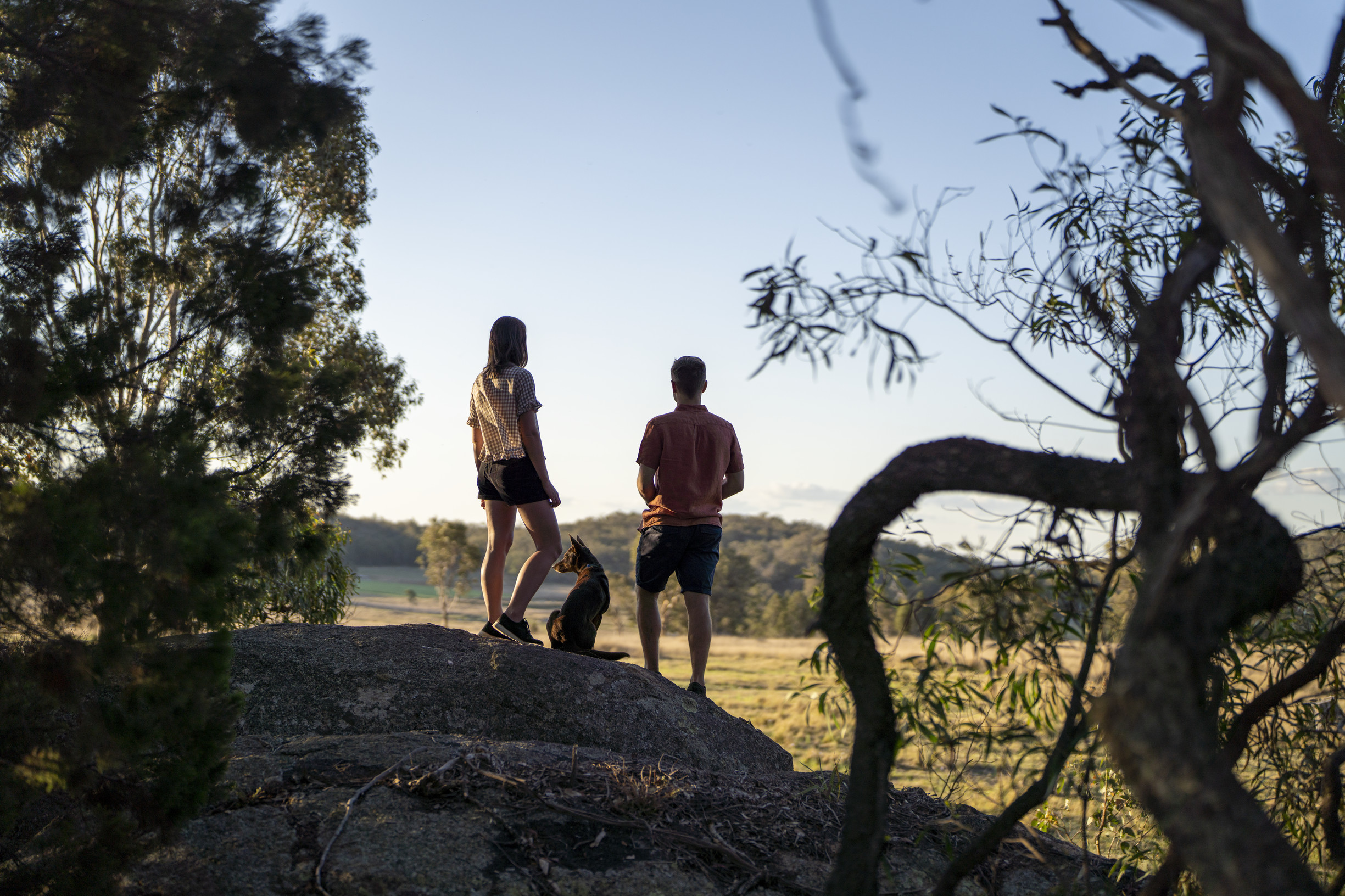 Taste your way around Stanthorpe’s foodie trail | Queensland