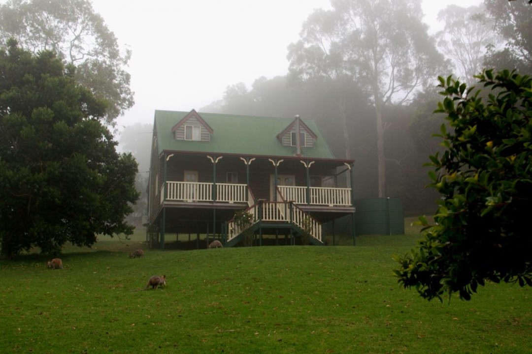 Bunya Mountains Guide: an Adventurous Weekend Itinerary | Queensland