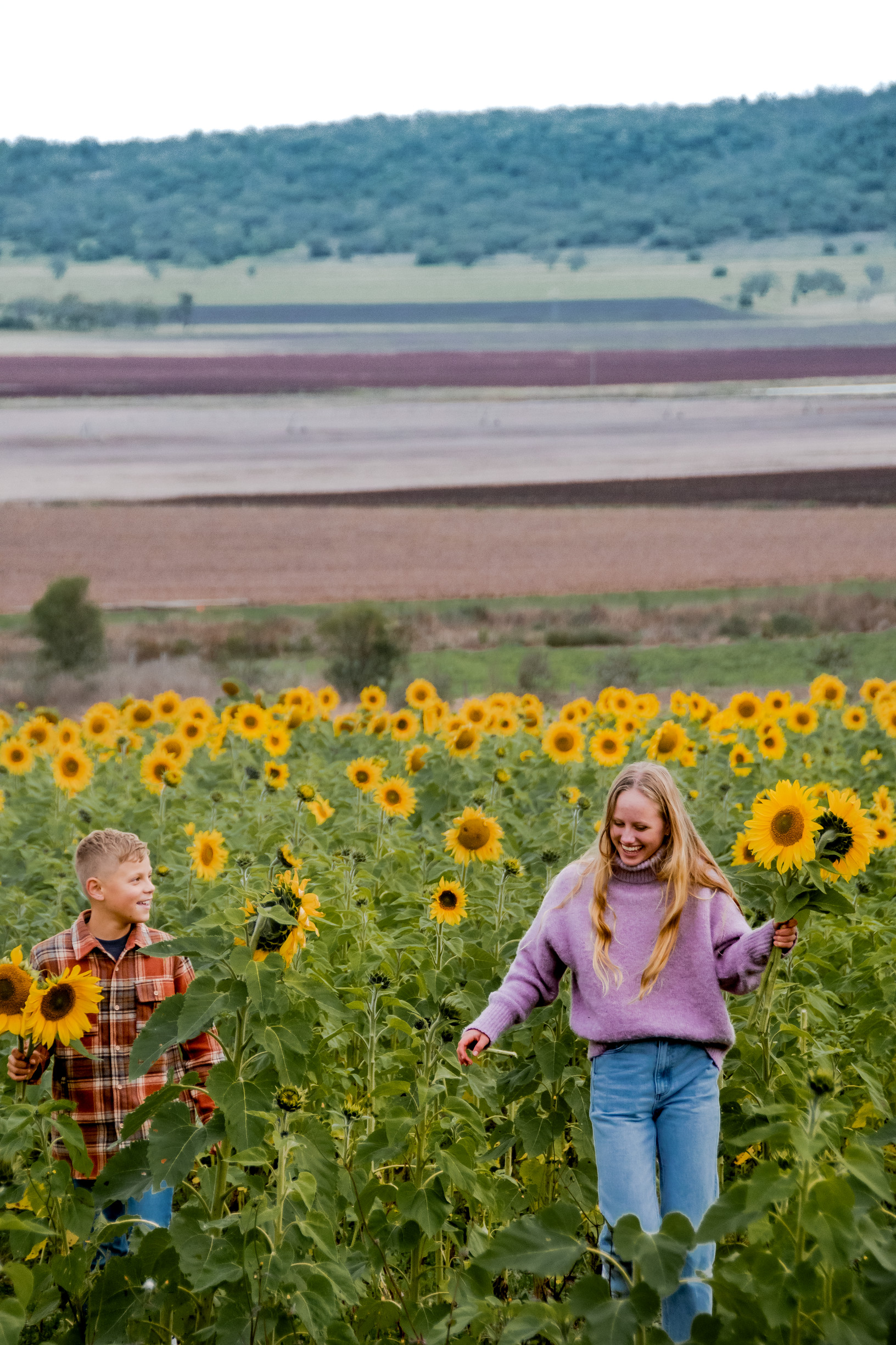 Where to See Wildflowers in Queensland - and When | Queensland