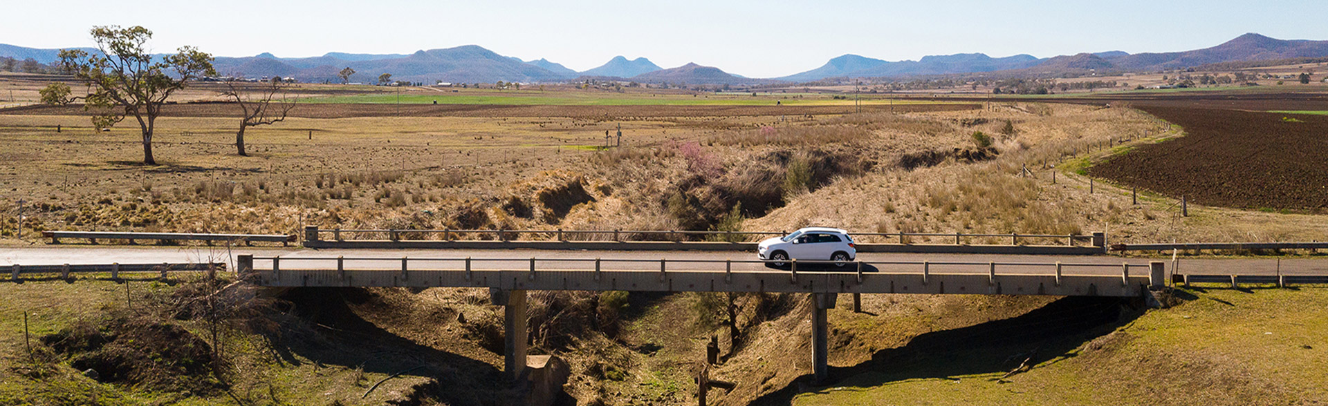 Guide to Kalbar Sunflower Festival | Queensland