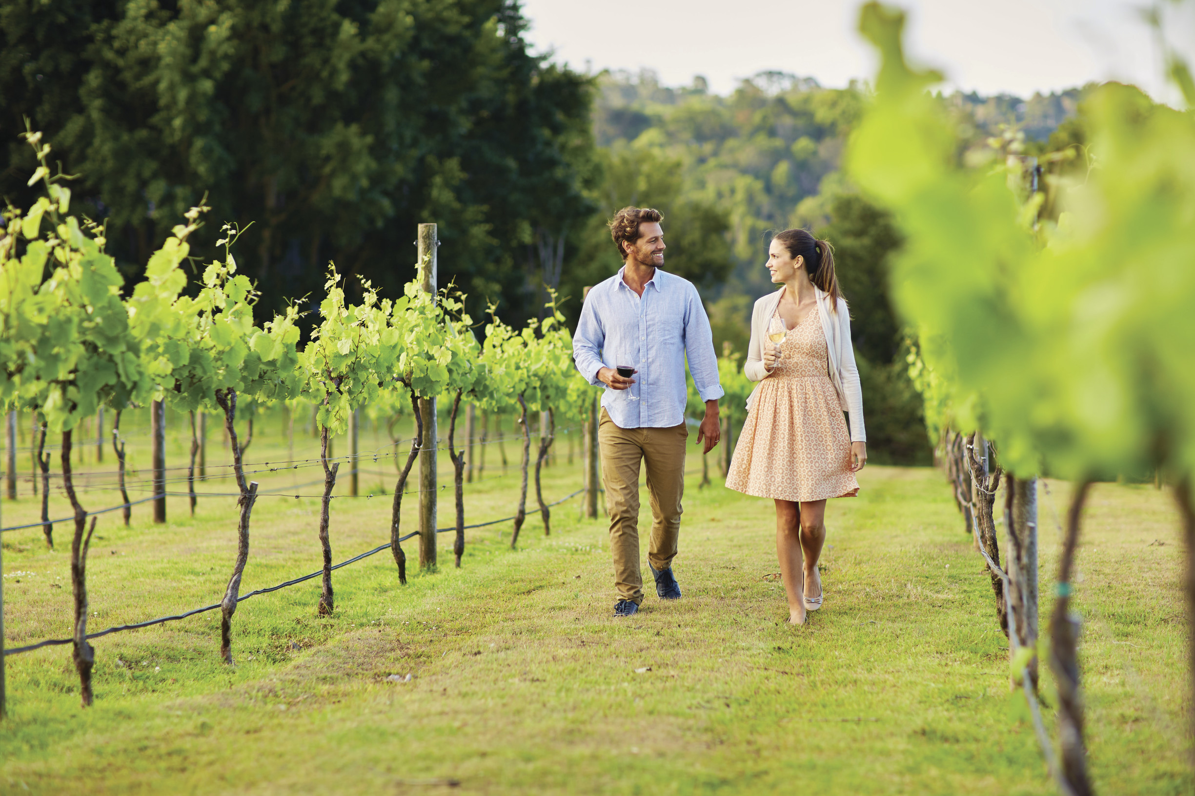 Incredible Queensland Wineries Where You Can Spend the Night | Queensland