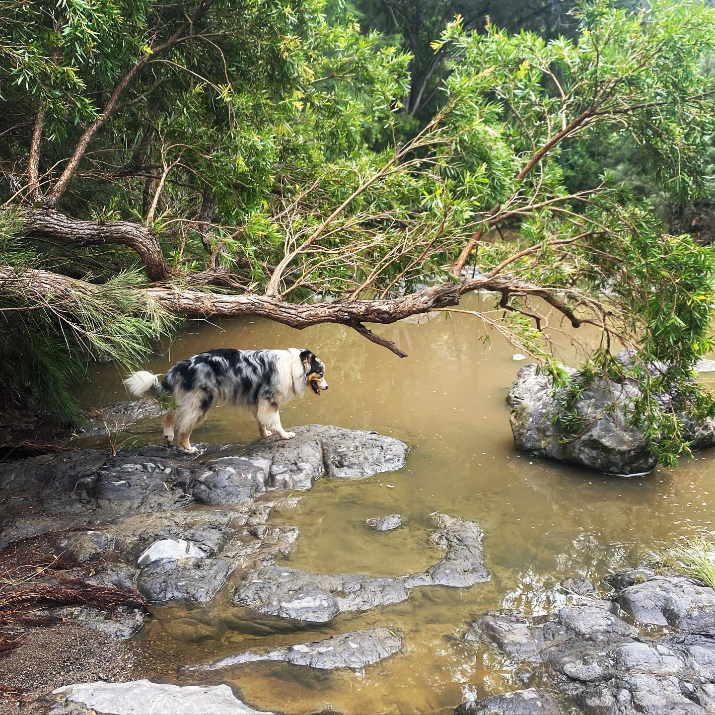 Queensland’s Best Free Campsites | Queensland