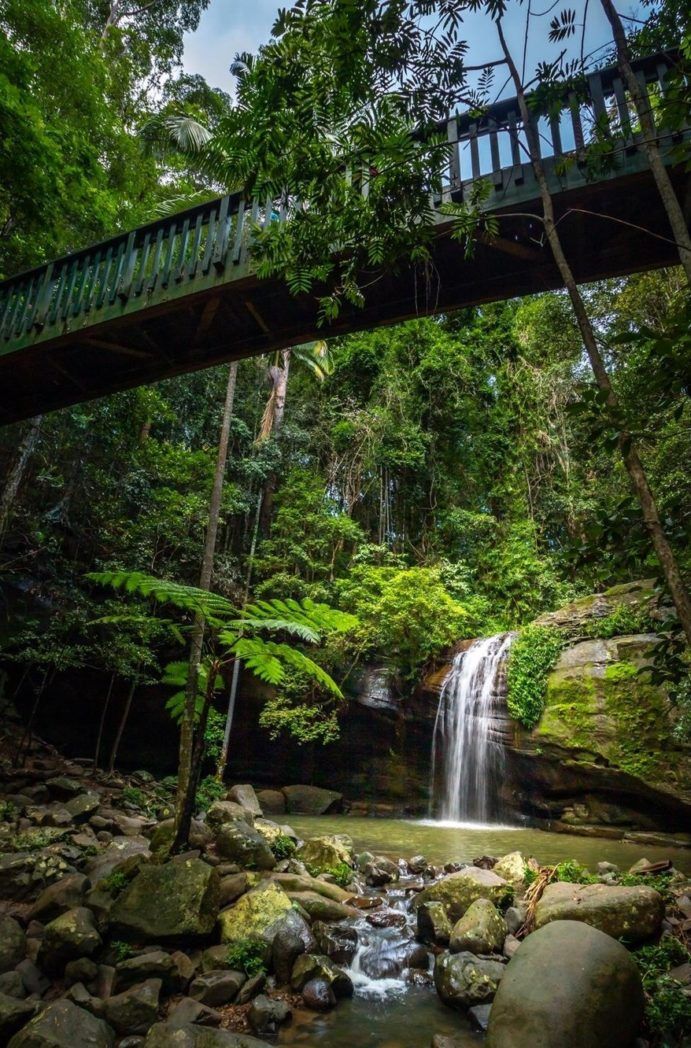 Here's How to Find the Best Swimming Holes and Waterfalls Near Brisbane ...