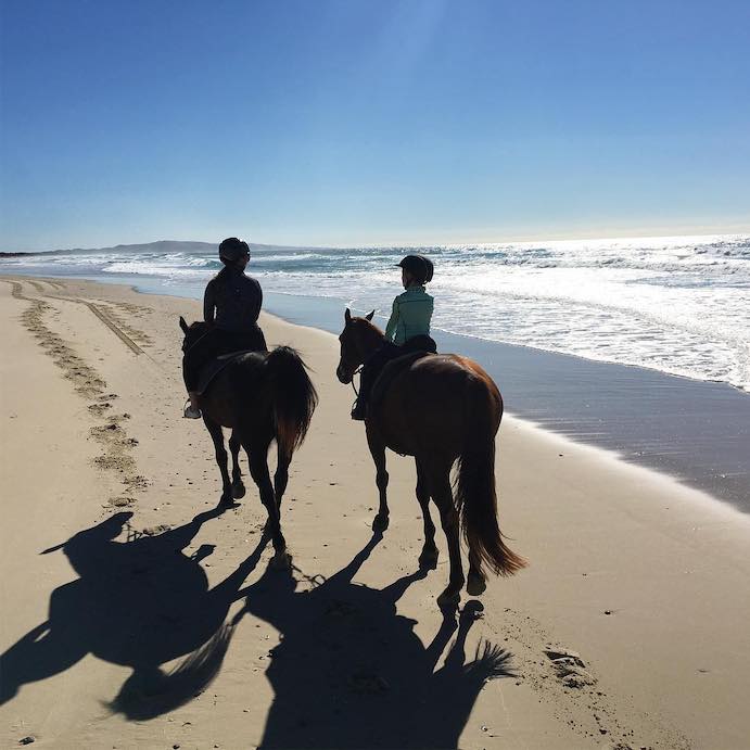 Saddle Up for the Best Beach Horse Riding Tours in Queensland | Queensland