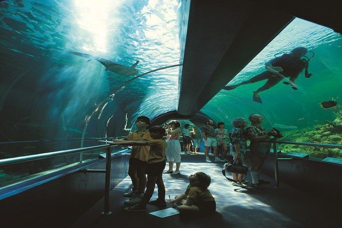 Things to Do: Sunshine Coast When It Rains | Queensland