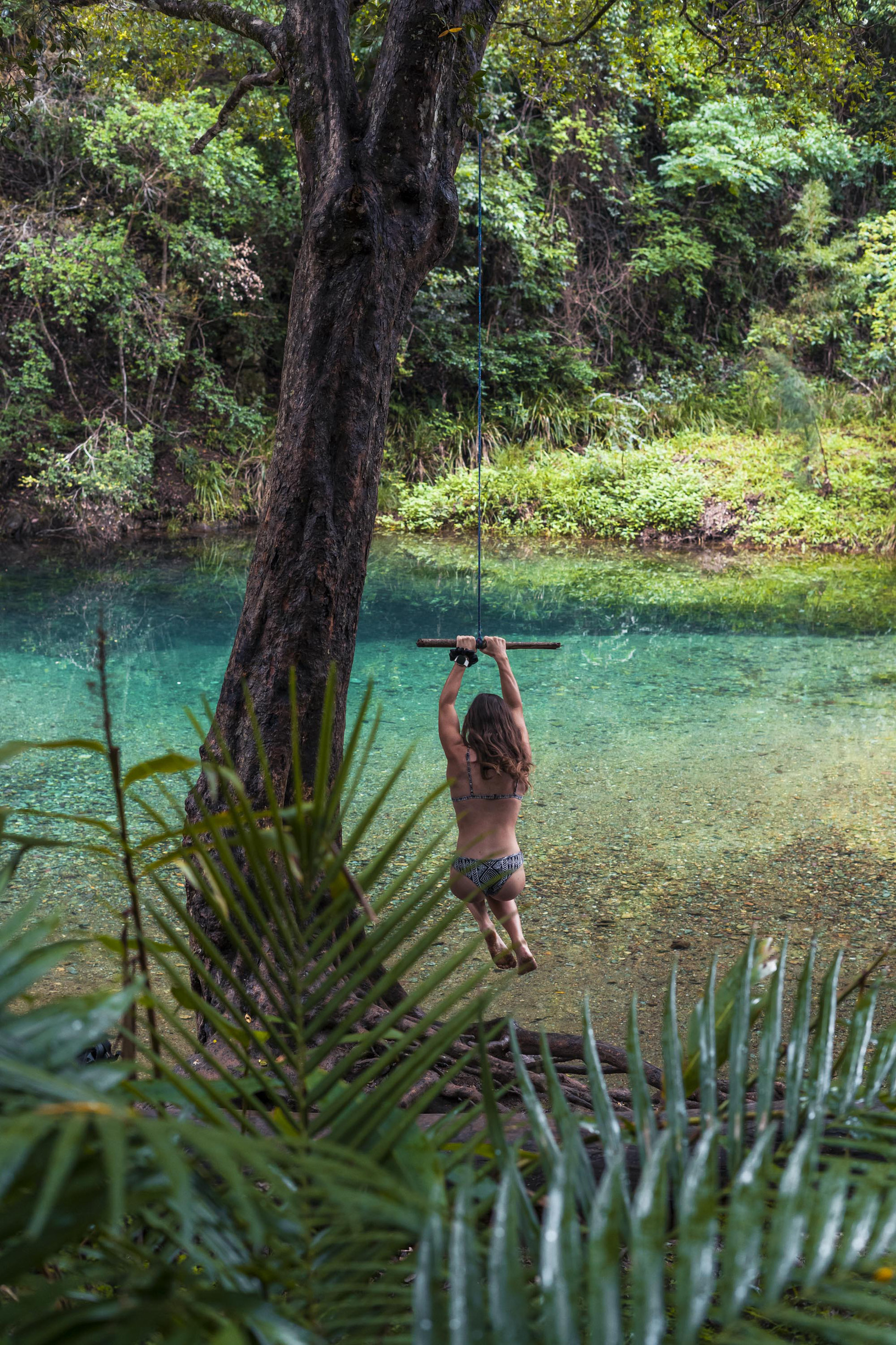 Conondale National Park Guide - Sunshine Coast | Queensland