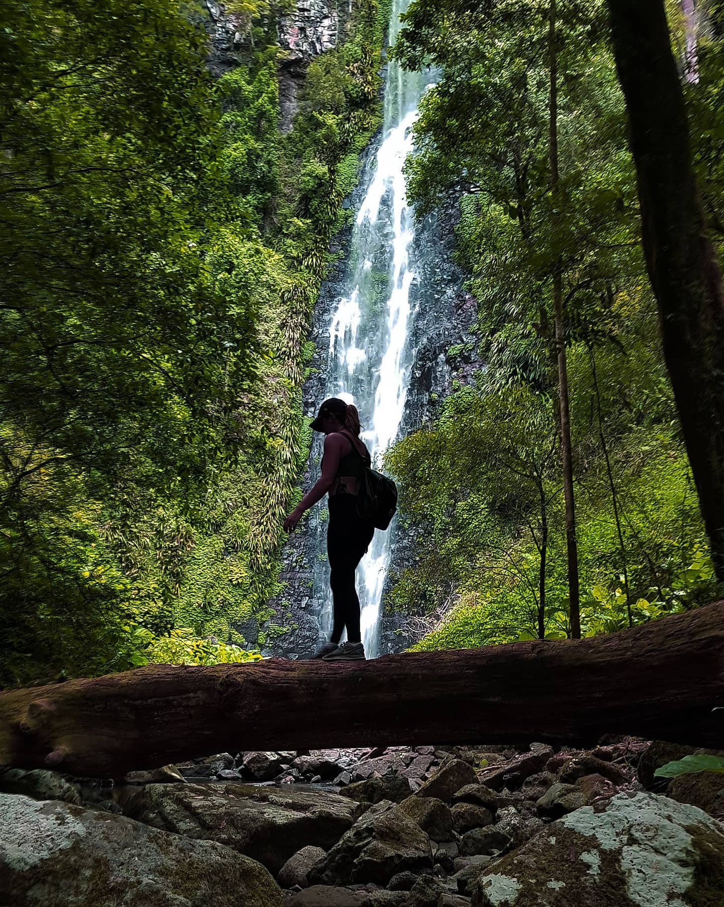 Conondale National Park Guide - Sunshine Coast | Queensland