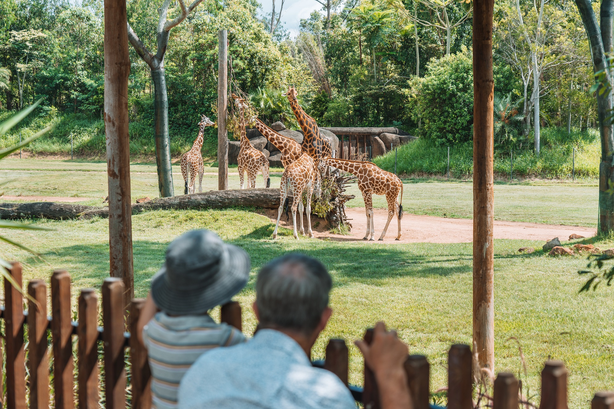 The Best Zoos and Wildlife Parks in Queensland | Queensland