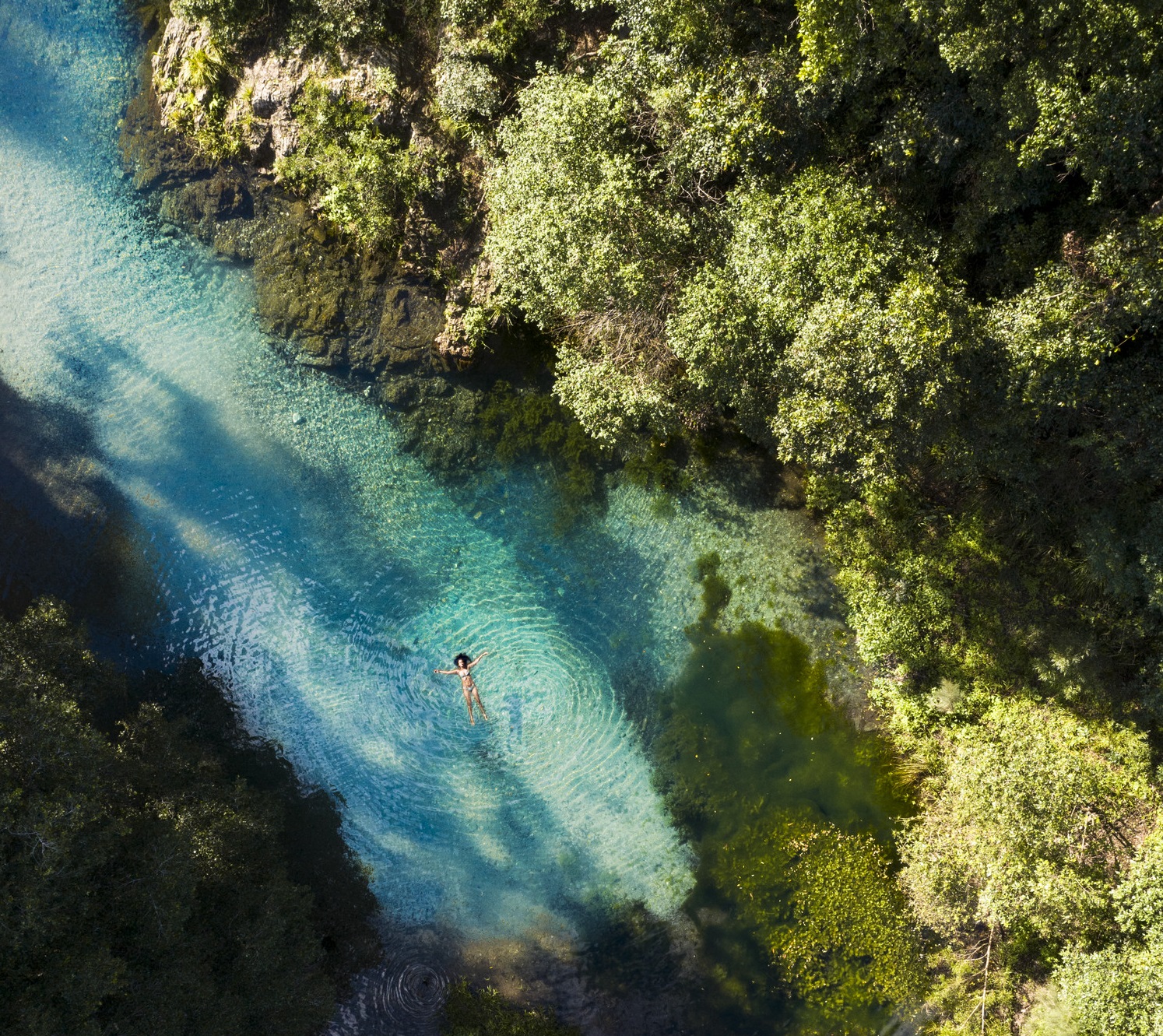 Top Waterfalls On The Sunshine Coast to Visit | Queensland