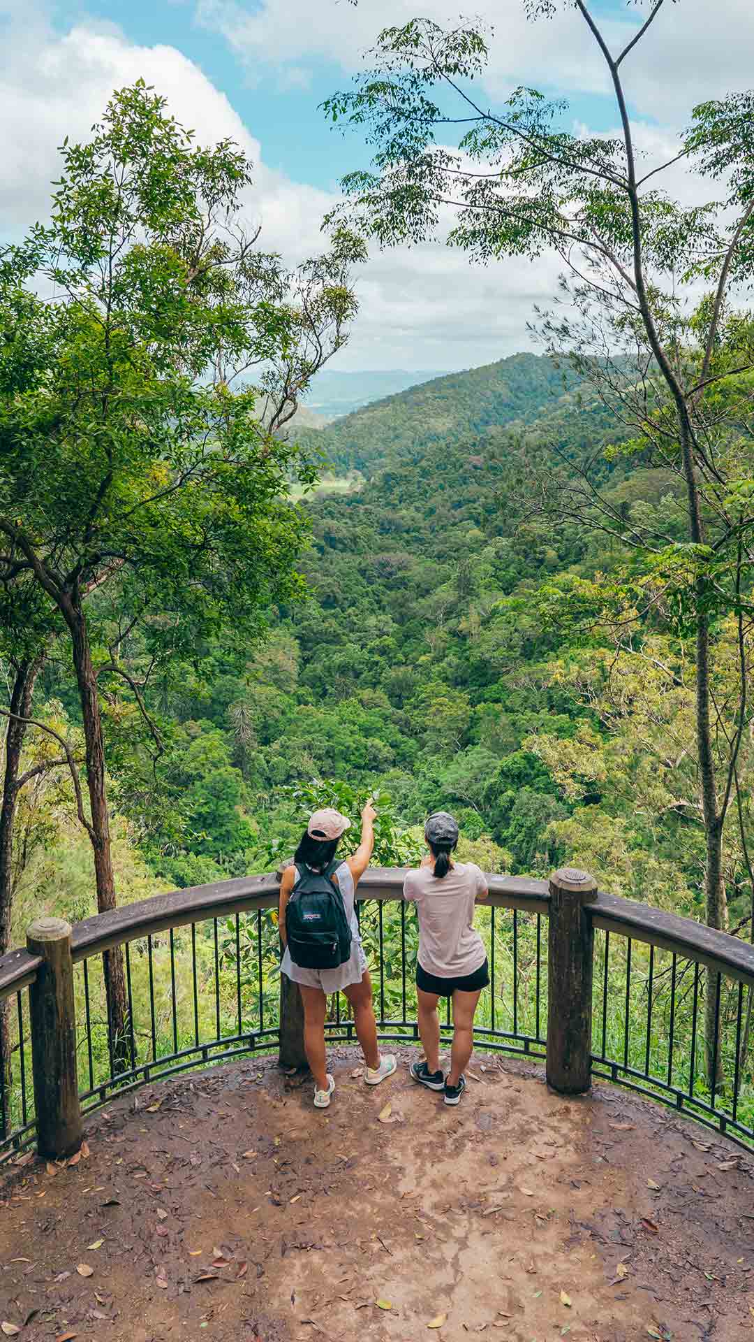 How to do Kondalilla Falls and Kondalilla National Park | Queensland