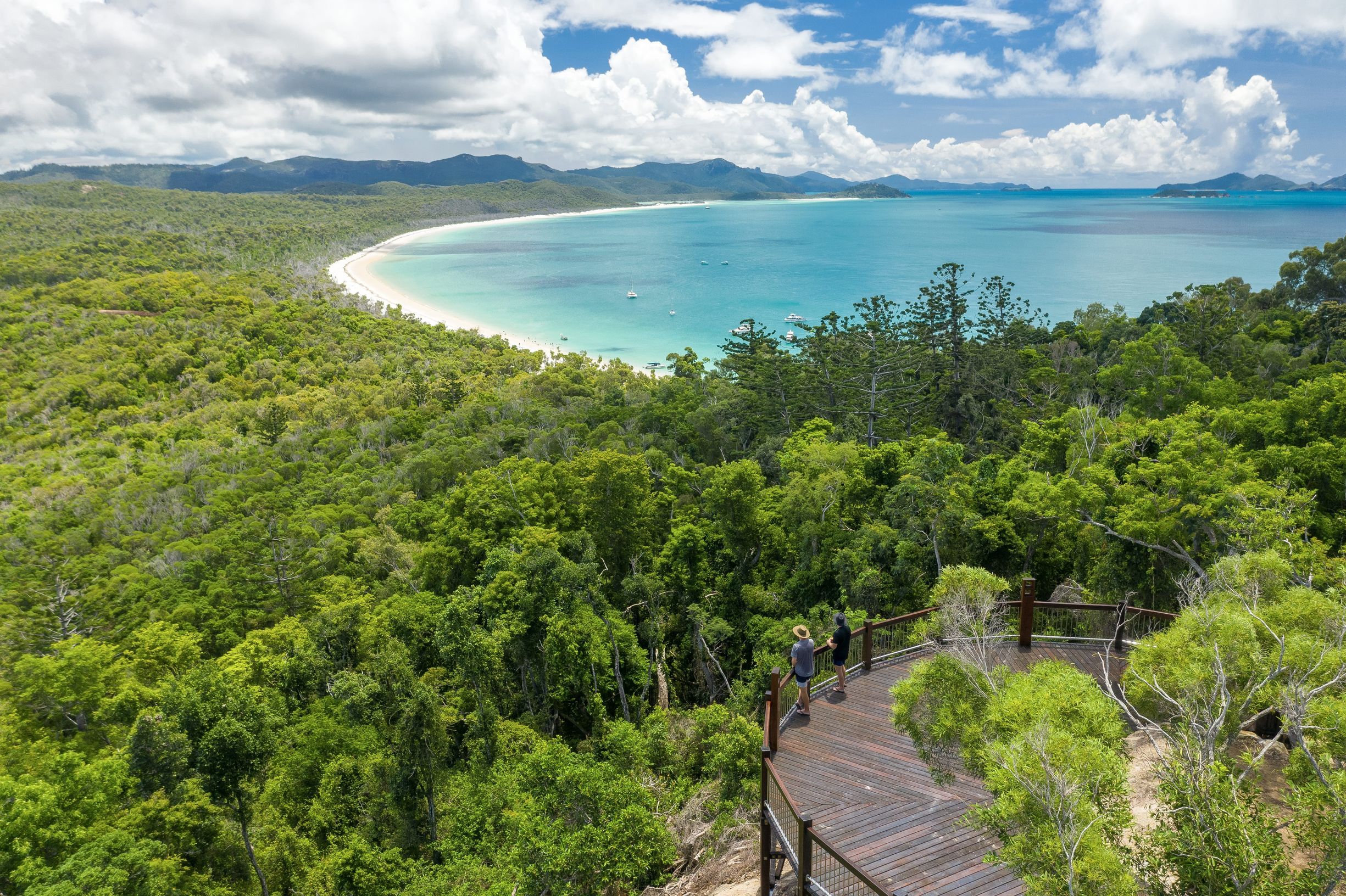 Discover the Ngaro Track