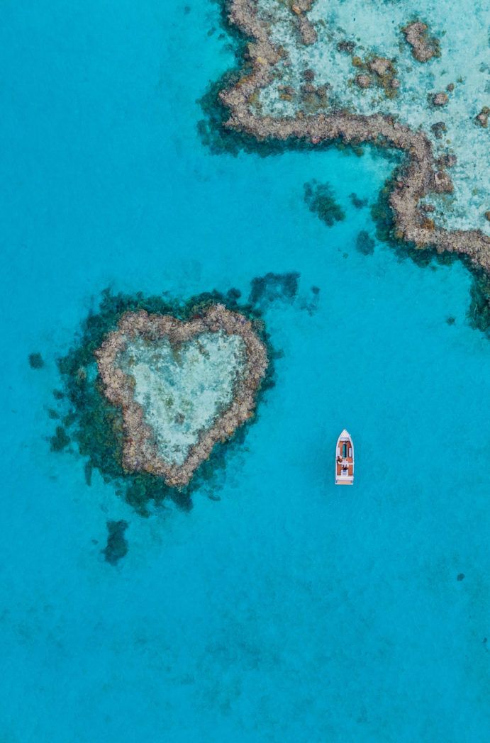 Heart Island: How to Experience Heart Reef Up Close | Queensland