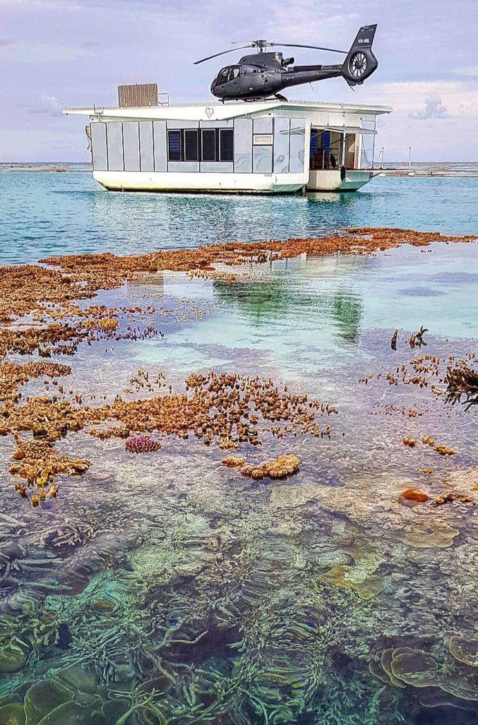 Heart Island: How to Experience Heart Reef Up Close | Queensland
