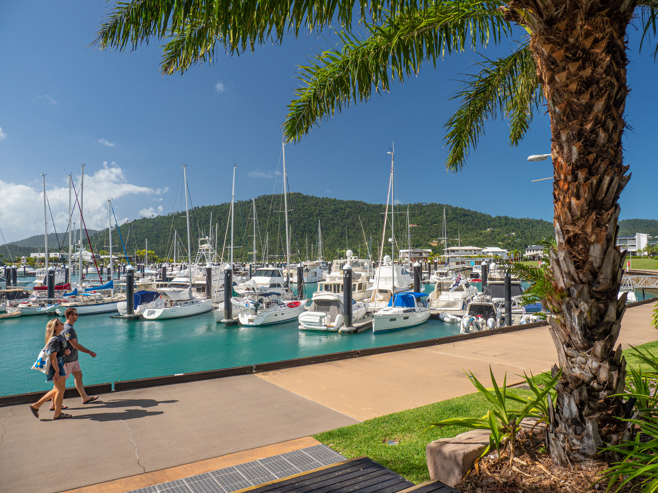 The ultimate itinerary for a Whitsundays group holiday | Queensland