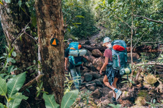 How to Hike The Thorsborne Trail On Hinchinbrook Island | Queensland