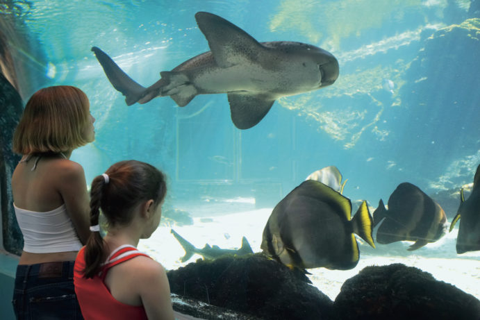 Great Barrier Reef From Townsville | Queensland