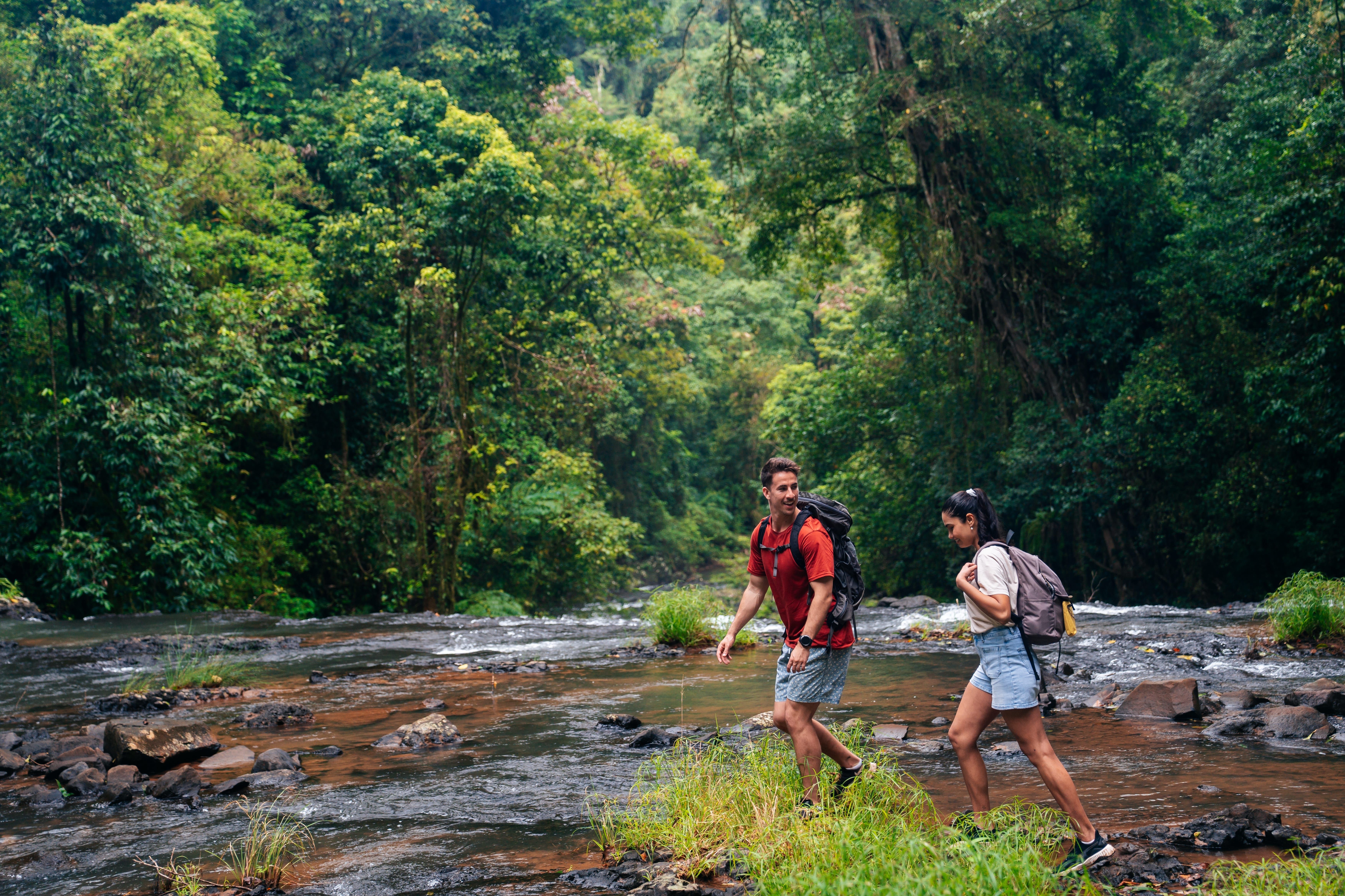 Discover the Queensland Great Walks | Queensland