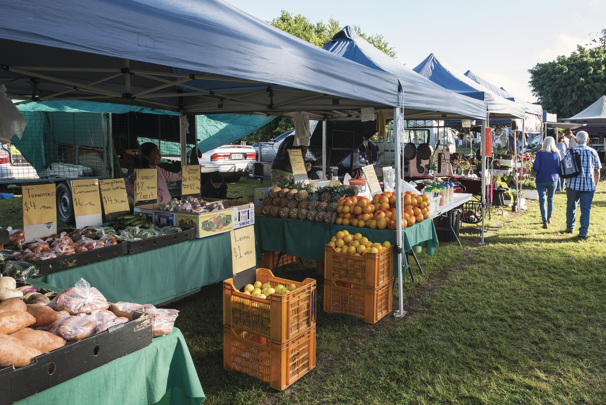 Shop and Savour at the Best Markets In Cairns | Queensland