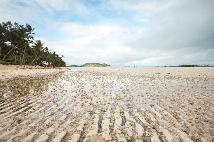 Camping Guide - Queensland National Parks | Queensland