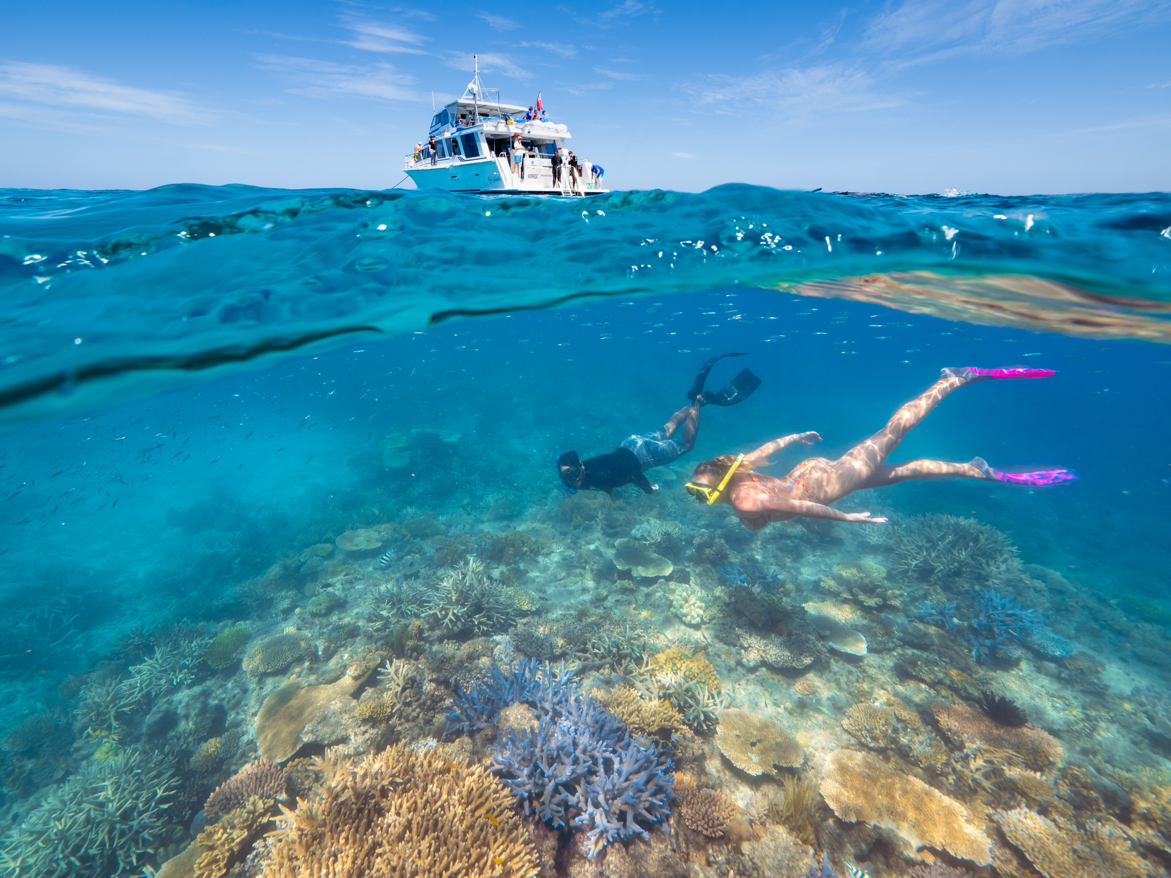 Cairns, Tully and Mission Beach Itinerary - 4 Day Nature Fix | Queensland