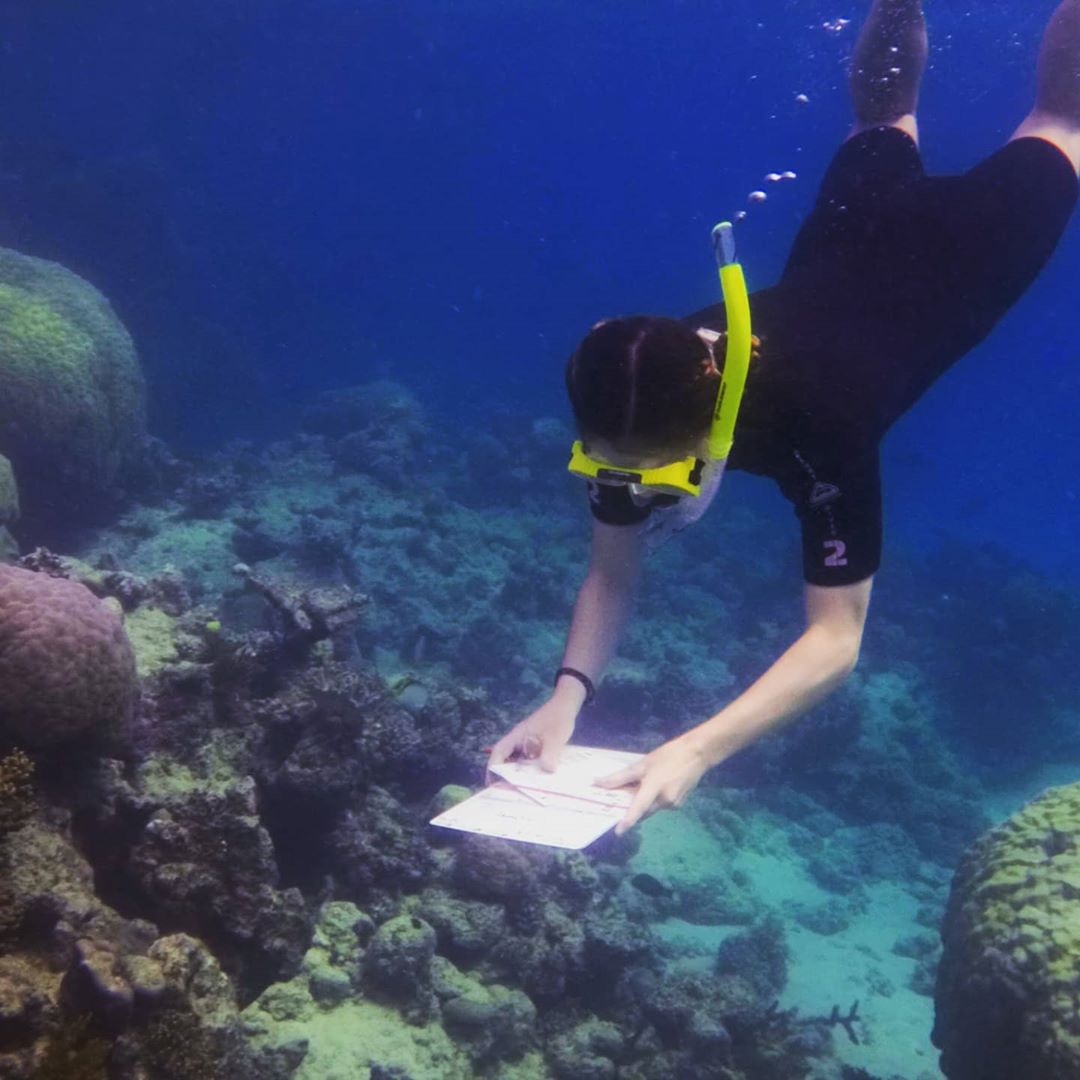 How to experience the Great Barrier Reef on a budget | Queensland