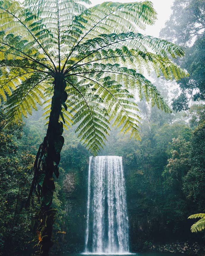 Must-Do Things In Queensland: Reef, Rainforest and Outback In 10 Days ...