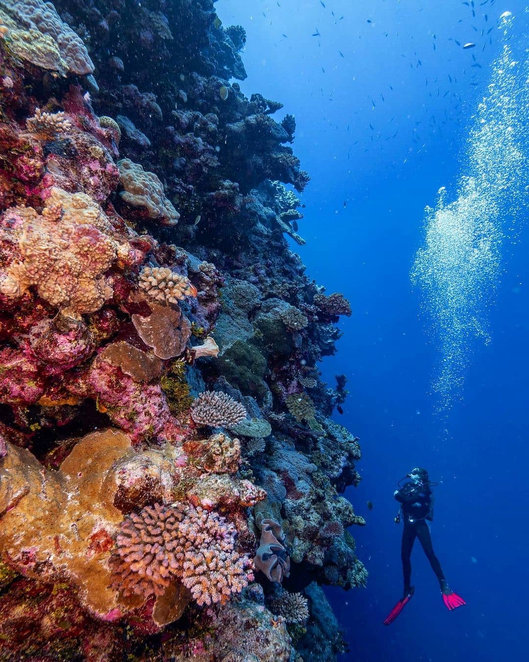 Don’t Miss These Life-Changing Experiences When Travelling Alone ...