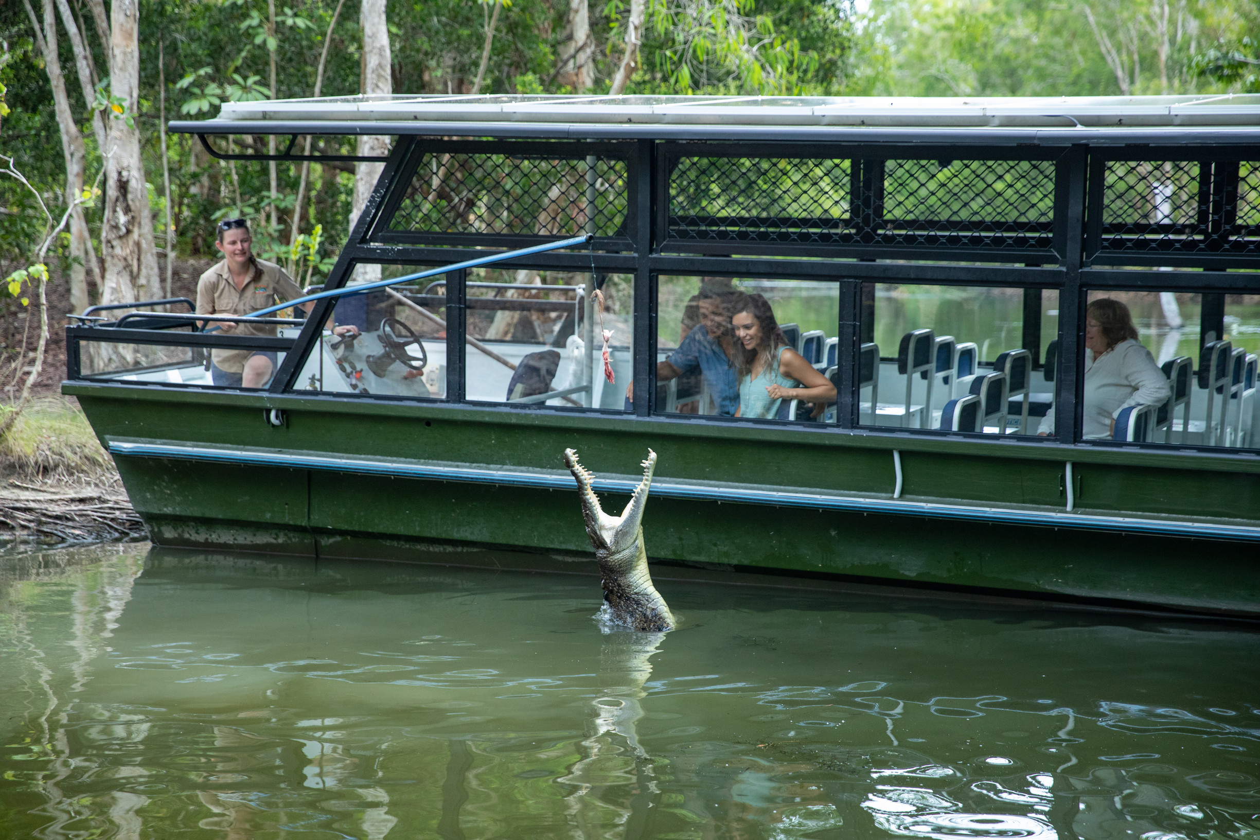 Crocodile encounters in Queensland | Queensland
