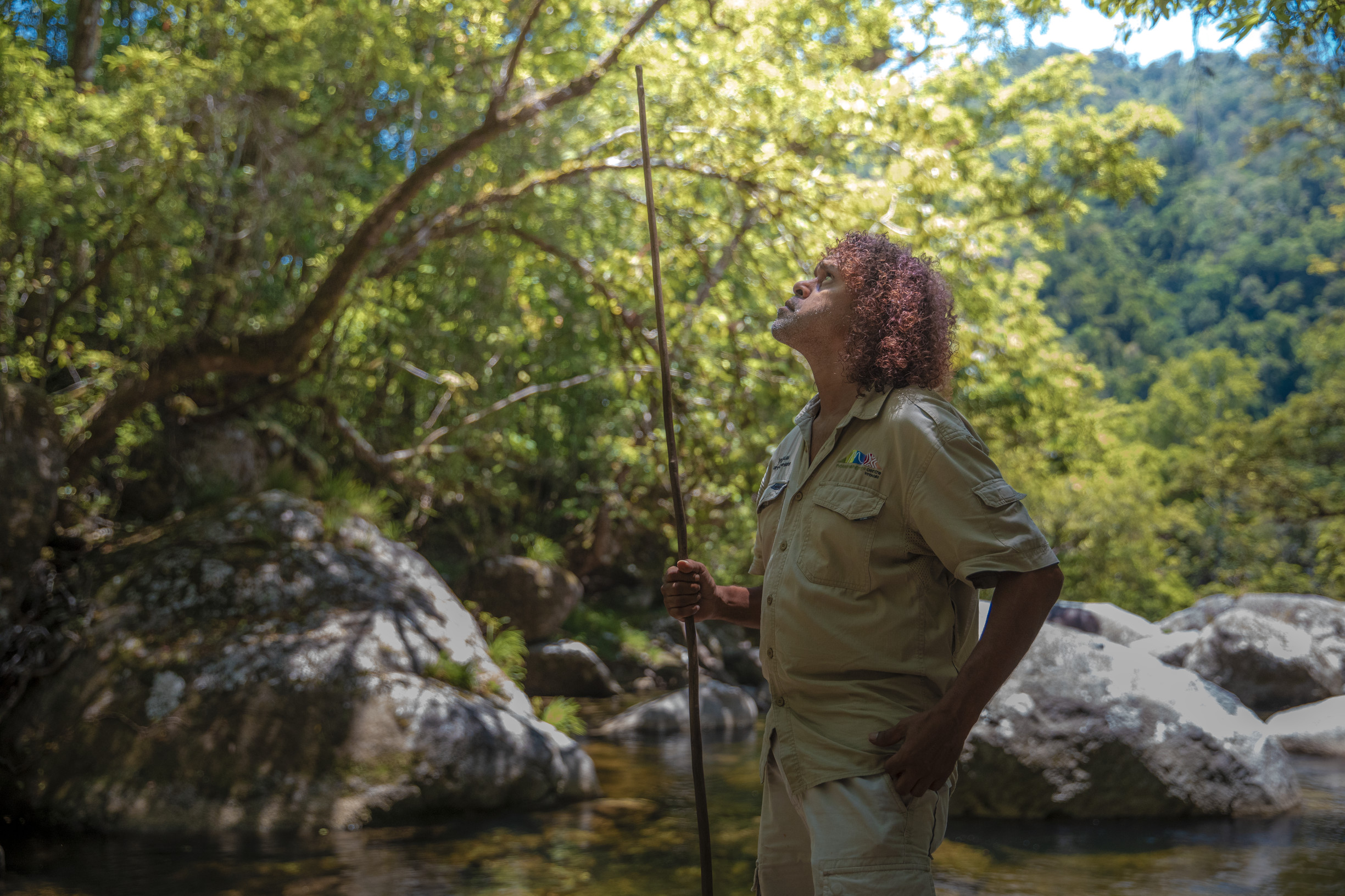 10 Amazing Facts About The Daintree Rainforest – OKZAA