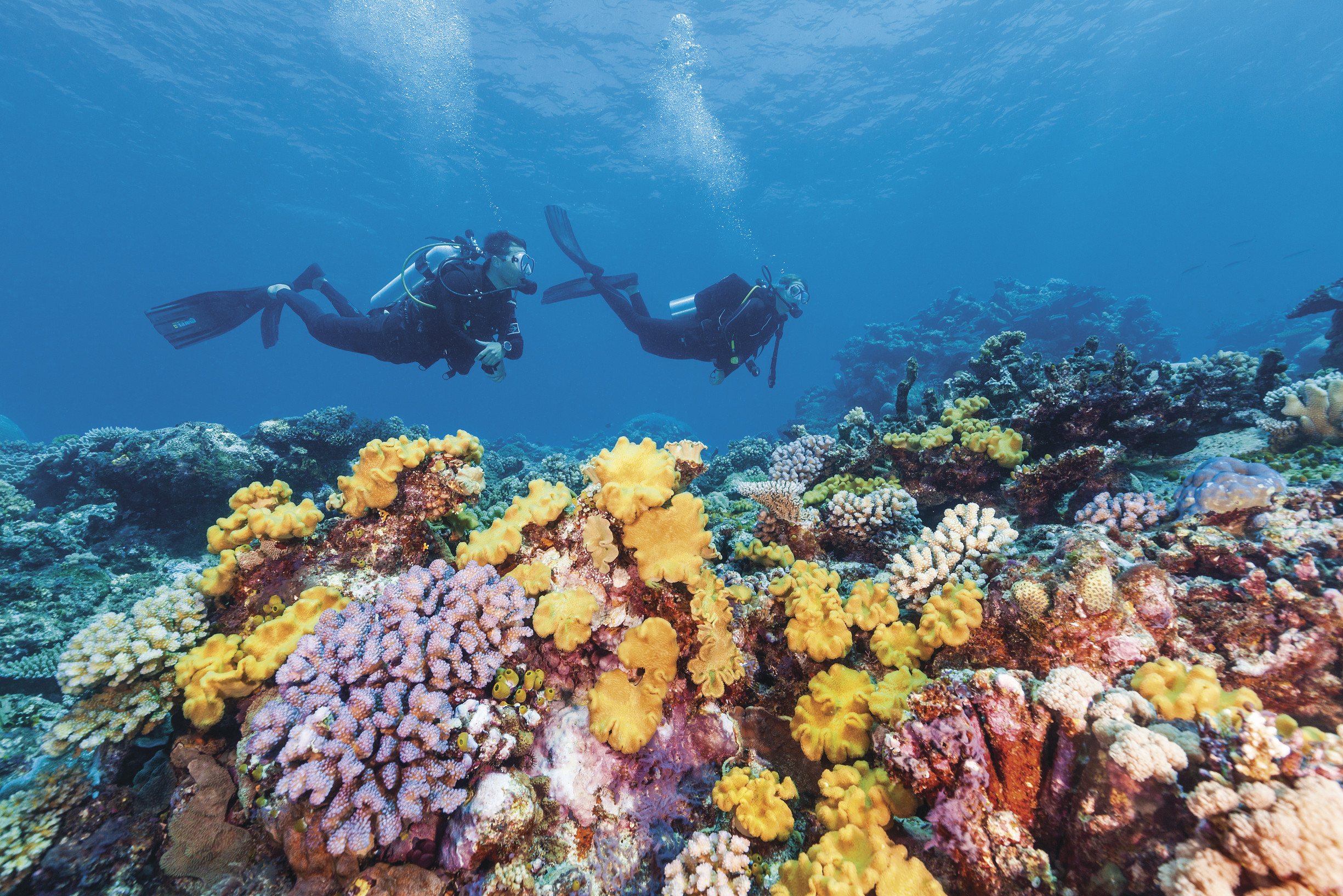 Island Hop With The Best Queensland Reef Day Trips | Queensland